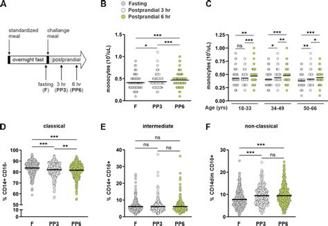 Fasting And Postprandial Monocyte Counts And Subsets A Schematic Download Scientific Diagram