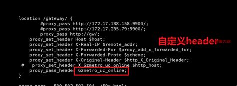 nginx header 传递）自定义header 白眉大叔