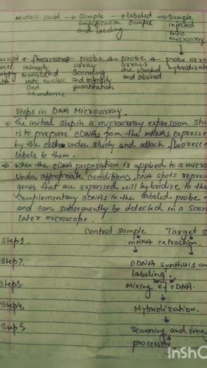 Dna Microarray🌼🙂 Youtube
