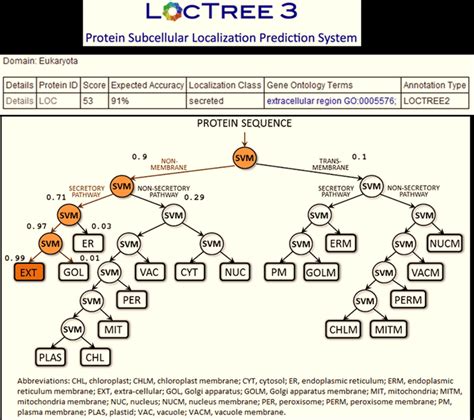 The Loctree3 Prediction Result Output For Input Protein Sequence