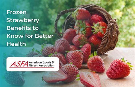 Endomorph Vs Ectomorph Vs Mesomorph