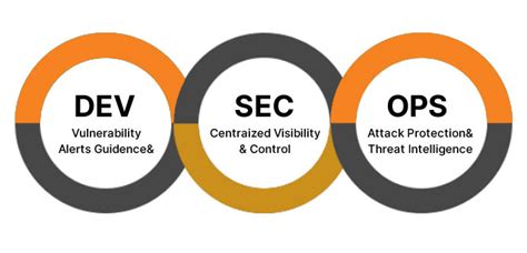 using devsecops for the software development lifecycle