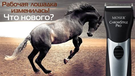 Moser Chromstyle PRO РАБОЧАЯ ЛОШАДКА - ЧТО НОВОГО? - YouTube