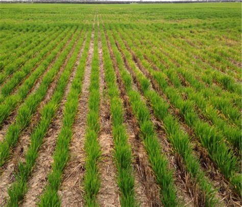 Soil Compaction Explained Soil Quality Knowledge Base