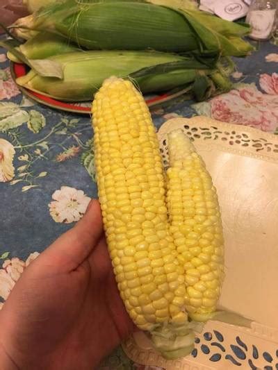 Country Girls Out Here Truly Shucking Corn Tumbex