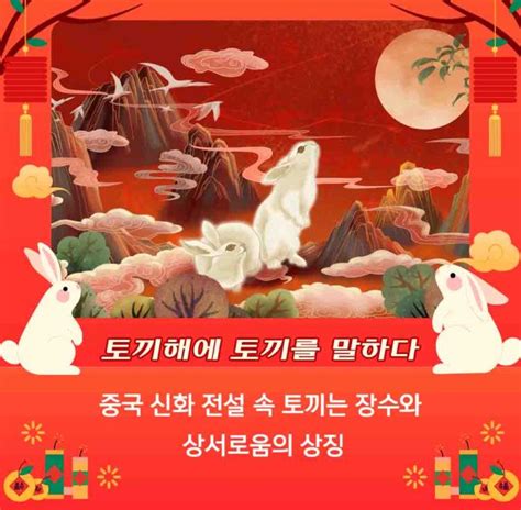 토끼해에 토끼를 말하다