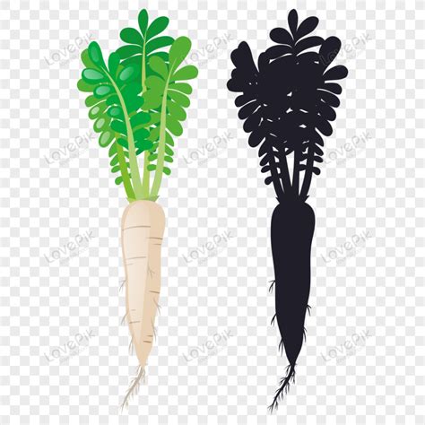 무 일러스트 Png 일러스트 무료 다운로드 Lovepik