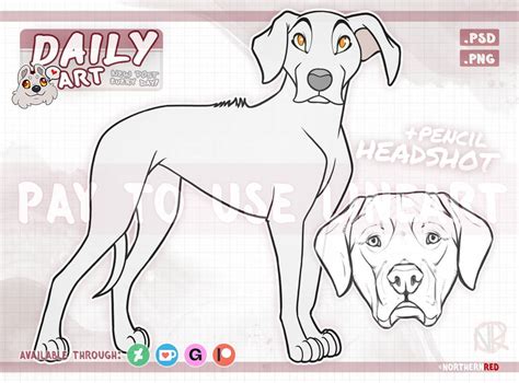 Daily Rhodesian Ridgeback Headshot Ds By Northernred On Deviantart