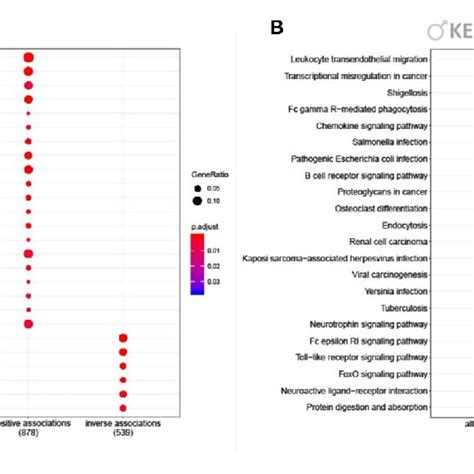 reactome and kegg overrepresentation analysis figure shows enriched