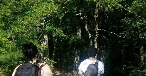 Mazzaratie Monica Fans Mazzaratie Monica Archive