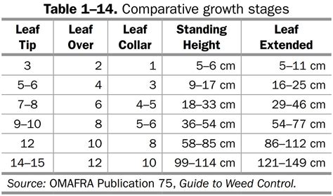 Agronomy Guide For Field Crops Corn Development Staging Corn Plants