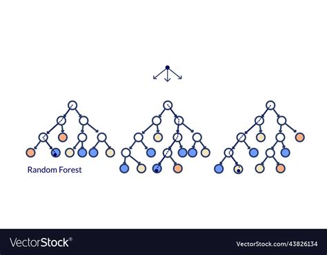 Rrandom Forest Scheme Of Work Machine Learning Vector Image