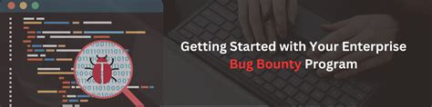 Bug Bounty Program