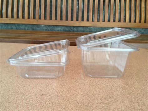 Hinged Plastic Cookie Container At Best Price In Sivakasi By The Sun