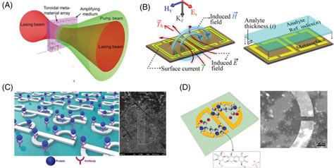 Toroidal‐based Application A Schematic Diagram Of The Plasmonic