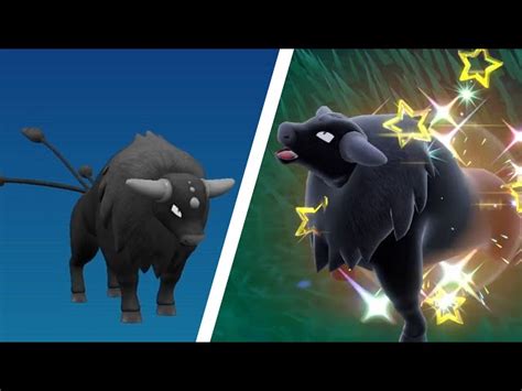 Pokemon Tauros Shiny