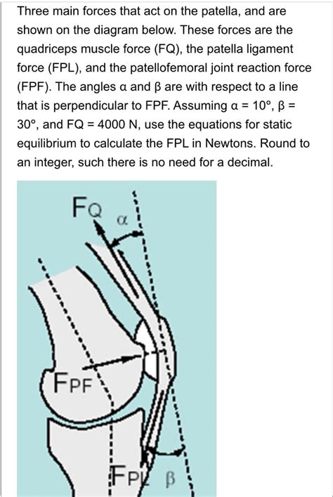 Answered Three Main Forces That Act On The… Bartleby