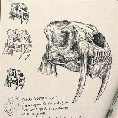 Dynamic Sketching On Behance