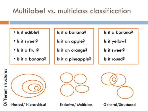 Ml Multiclass Vs Multilabel At Jessica Zelman Blog