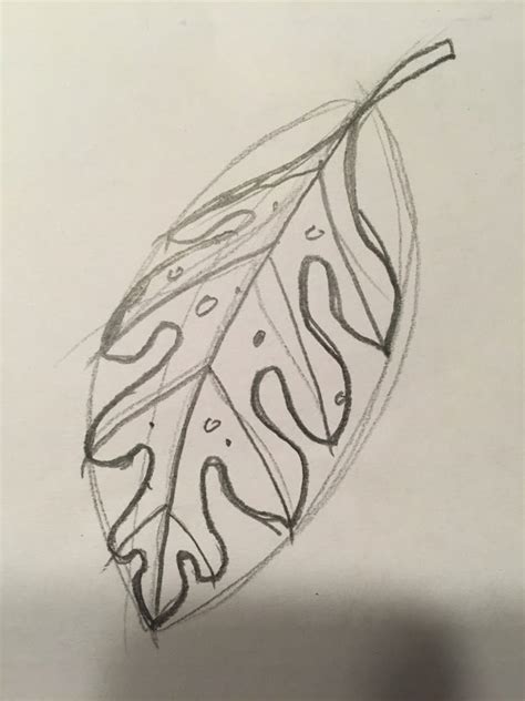 Oak Leaf Drawing With Love