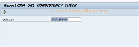 CRM CONSIST CHK SAP Tcode Consistency Check Portal Admin