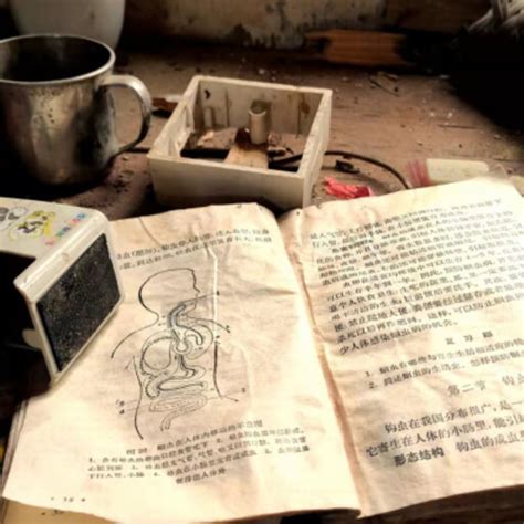 Wu Bin Doctor Doctor Of Medicine Sun Yat Sen University Guangzhou Sysu Department Of