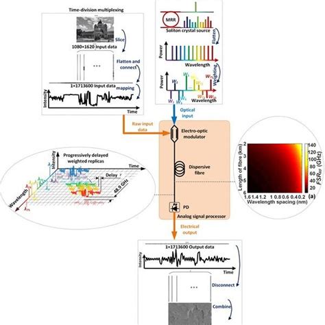 Operation Principle Of Analog Video Processor Pd Photodetector A Download Scientific