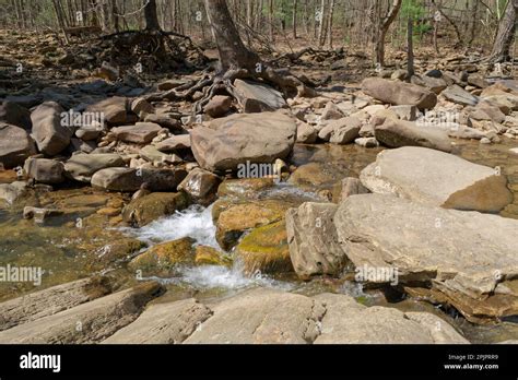 Tree With Exposed Roots Growing On The Rocky Shore And Splashing Water Between The Boulders At