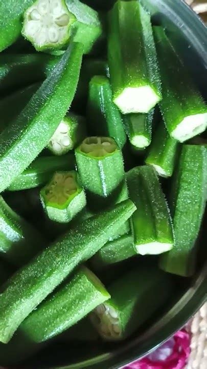 Vapa Bhandishortvideo Youtube