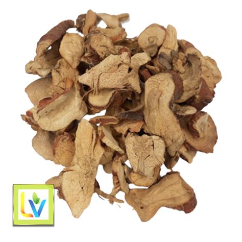 Riềng ThuỐc BẮc SÀi ThÀnh