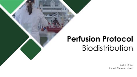 Perfusion Protocol Biodistribution Ppt Presentation Acp Ppt Sample