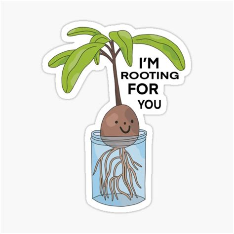 Im Rooting For You Avocado Sticker By Peachcatdesigns Redbubble