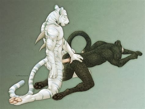 Rule 34 Abanob Anal Anthro Doggy Style Feline From Behind Fur Furry