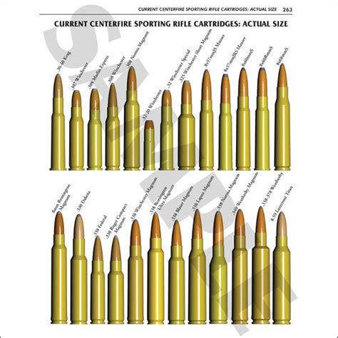 Cartridge Diagrams « Daily Bulletin
