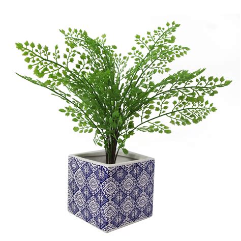 12cm Ceramic Cube Planter With Decorative Print Blue Eye Leaf Design
