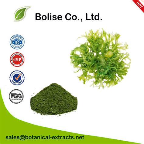 Algae Extract Suppliersmanufacturersalgae Extract Prices For Sale