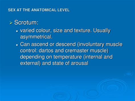 Ppt Sex At The Anatomical Level Powerpoint Presentation Free Download Id330022