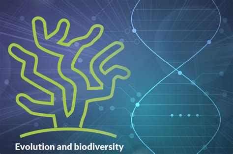 Shape National Data Services In The Evolution And Biodiversity Research Area Scilifelab