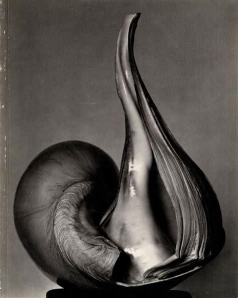 Untitled 41 The Friends Of Photography Ew 100 Centennial Essays In
