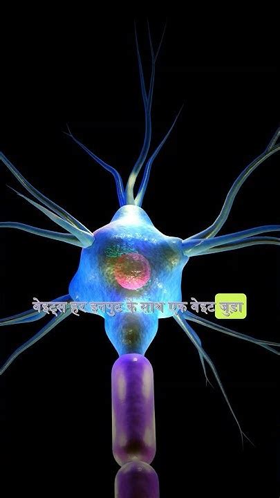 Neural Networks And Perceptron Datascience Ai Machinelearning