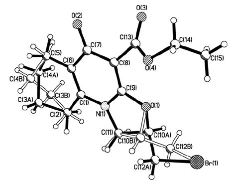 Structure Of The Ester 6 Molecule With Atomic Numbering Download