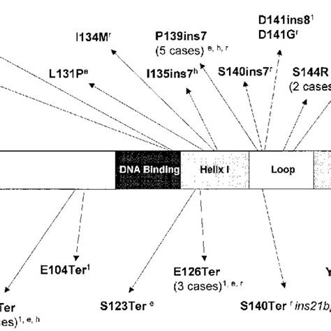 Twist Gene Mutations In 16 Patients With Saethre Chotzen Syndrome