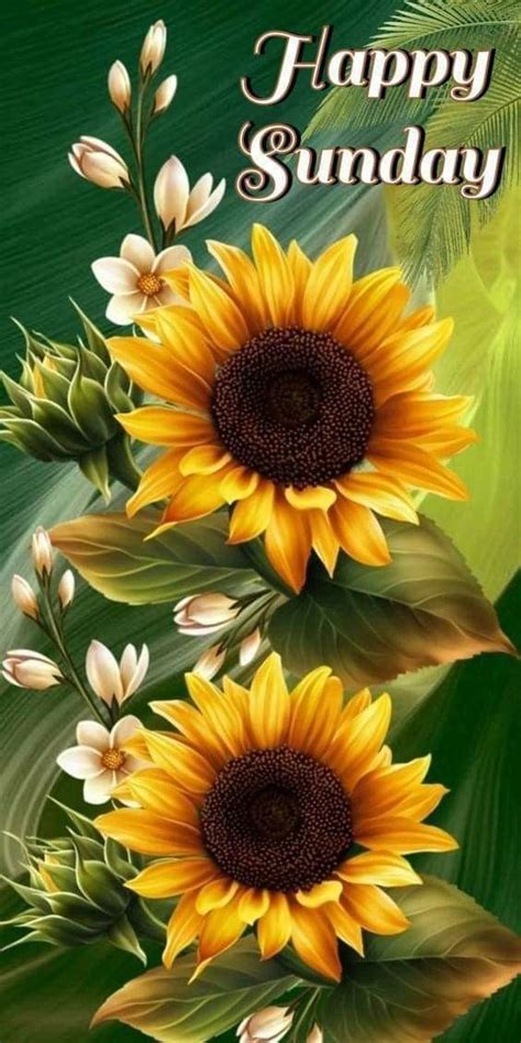 Pin By Jackie Lowry On Good Morning Wishes Good Sunday Morning Happy