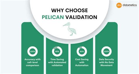 Datamigration Datavalidation Automatedtesting Pelican Datametica Birds