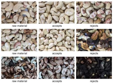 High Speed Peanut In Shell Color Sorter Macadamia Nut Color Sorting
