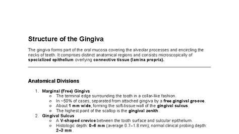 Structure Of The Gingiva It Comprises Distinct Anatomical Regions And