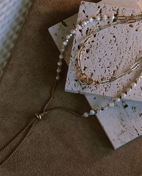 Asteroidea Asteroidea Added A New Photo