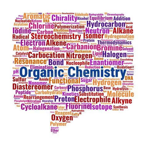 Organic Chemistry Word Cloud Key Concepts And Essential Topics For