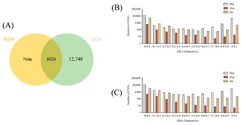 Population Structure And Selection Signatures Underlying Domestication Inferred From Genome Wide