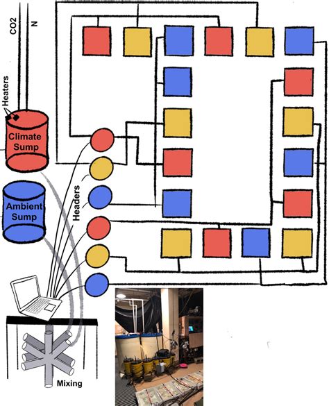 Conceptual Figure Illustrating The Flow Through Experimental Mesocosm Download Scientific